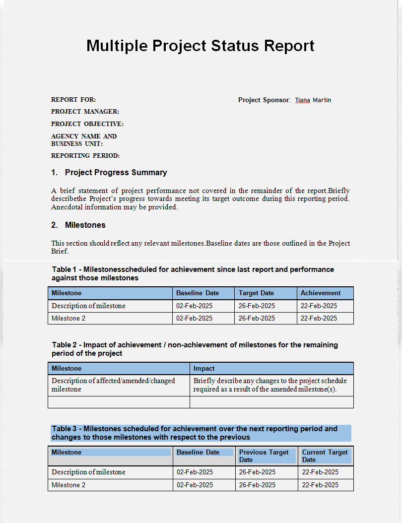 Download Project Status Report Template Excel
